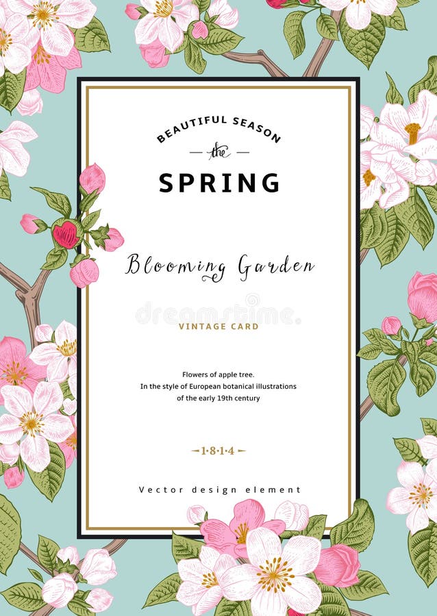 Spring Floral Vector Vintage Card Stock Vector - Illustration of brown ...