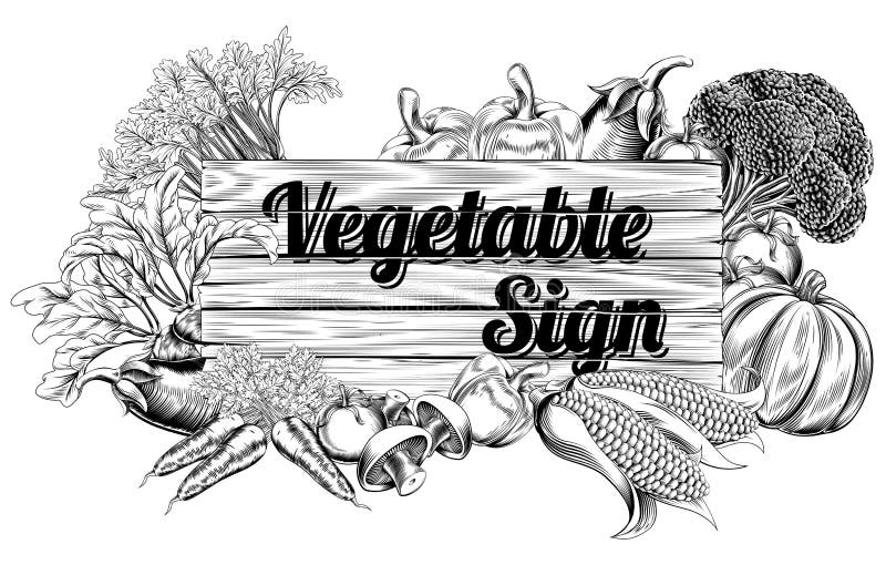 Vintage Vegetable Produce Sign Stock Vector - Illustration of print ... Vintage Vegetable Produce Sign Stock Vector - Illustration of print ...
