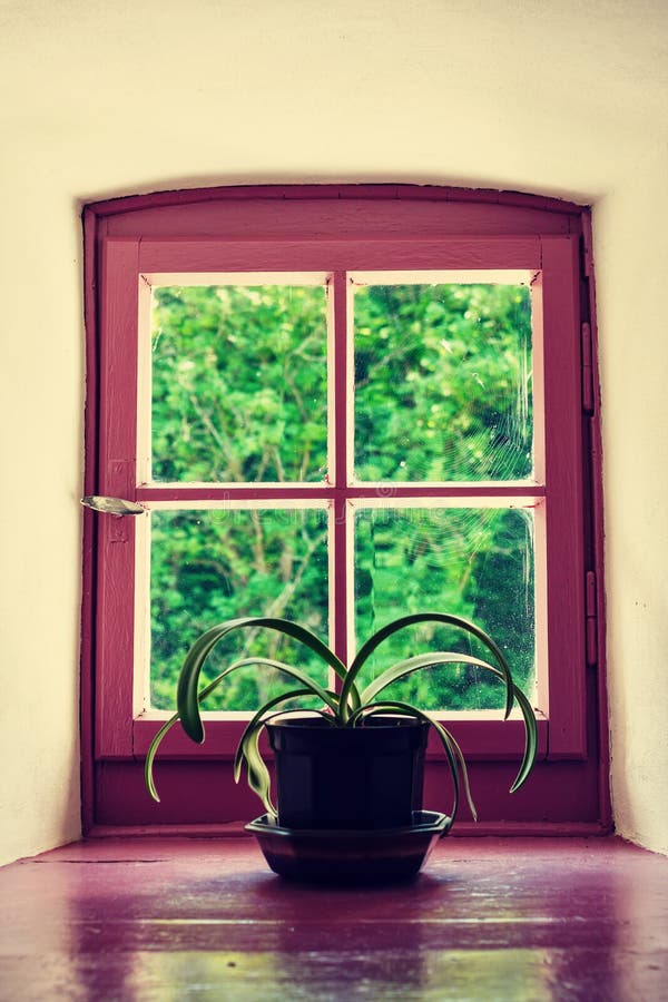 Vintage violet window stock photo. Image of decor, decoration - 41645556