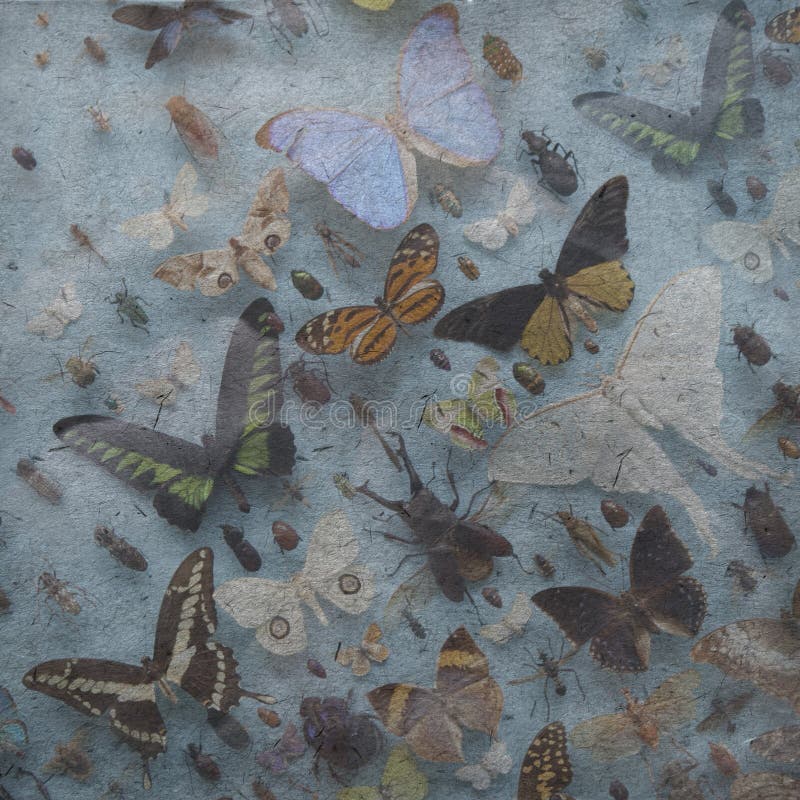 Vintage Wallpaper Background Stock Image - Image of grungy, edges: 46656839