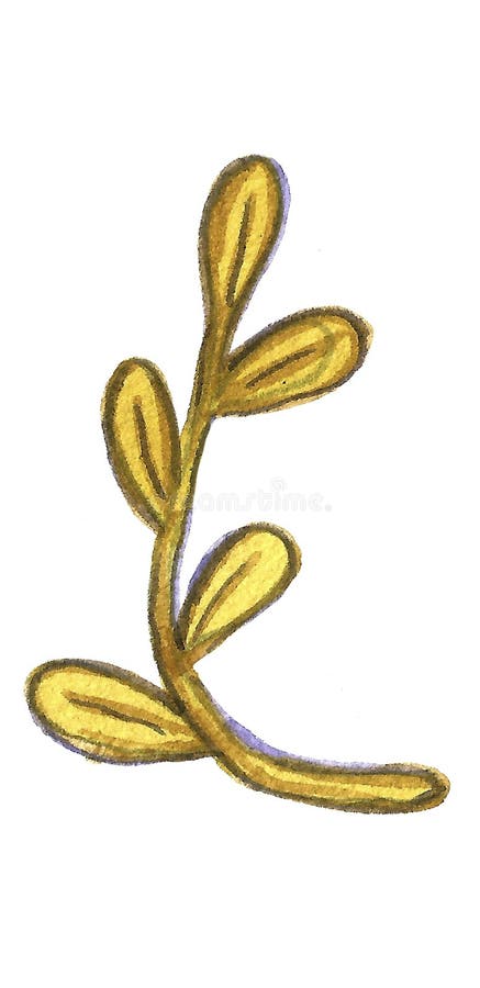 Set Watercolor Drawing Mushrooms Stock Illustrations – 1,190 Set ... Set Watercolor Drawing Mushrooms Stock Illustrations – 1,190 Set ...