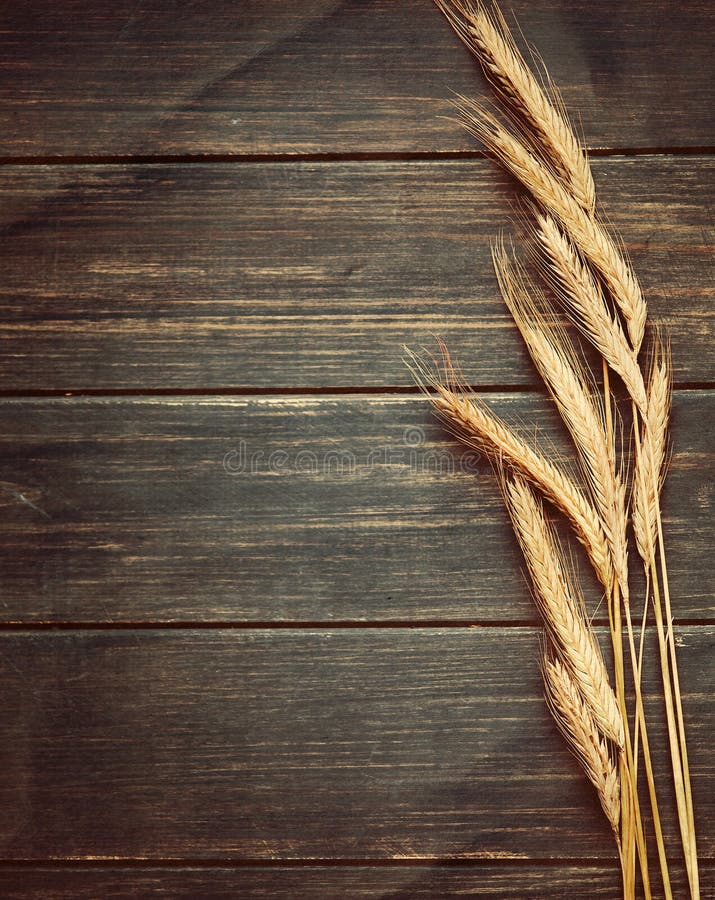 Vintage wheat background stock photo. Image of barley - 33133880