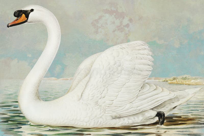 Famous Swan Painting