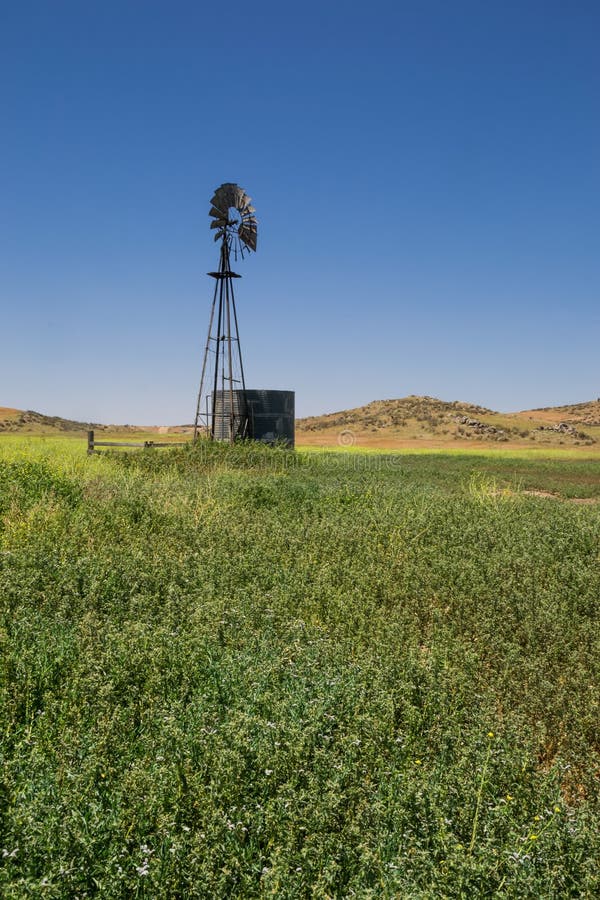 Windmill in Green Crops Southern Australia Stock Photo - Image of farm ...