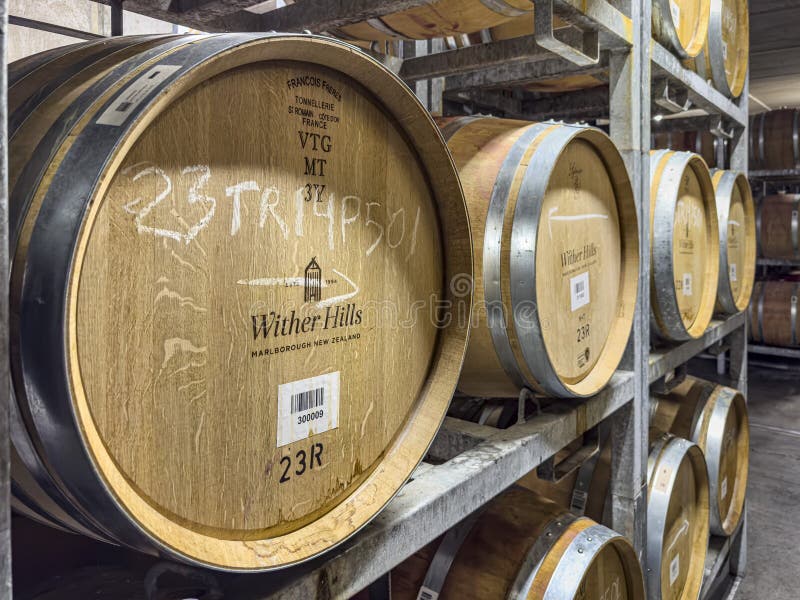 Vintage Wine Barrels in Cellar Storage Editorial Stock Photo - Image of ...