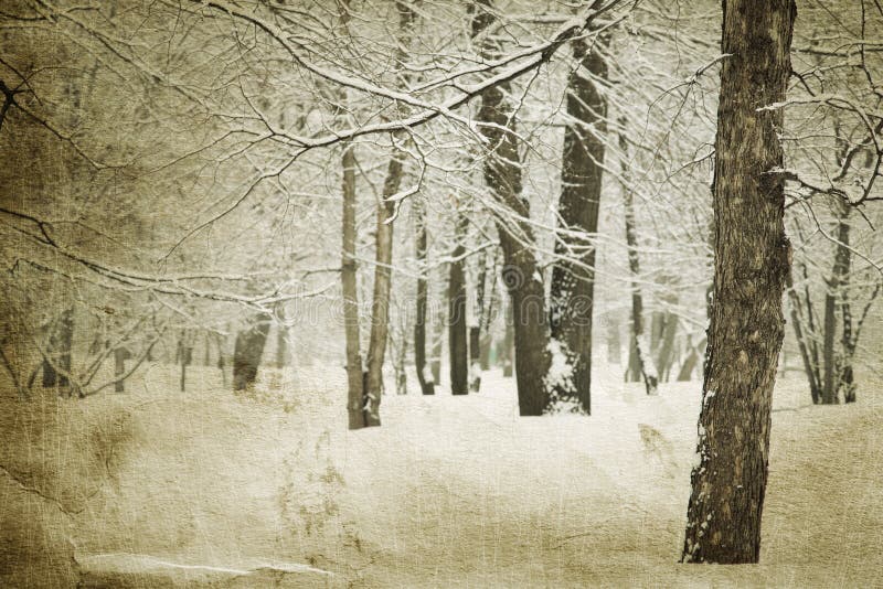 Vintage winter stock image. Image of border, hazy, frozen - 2337803