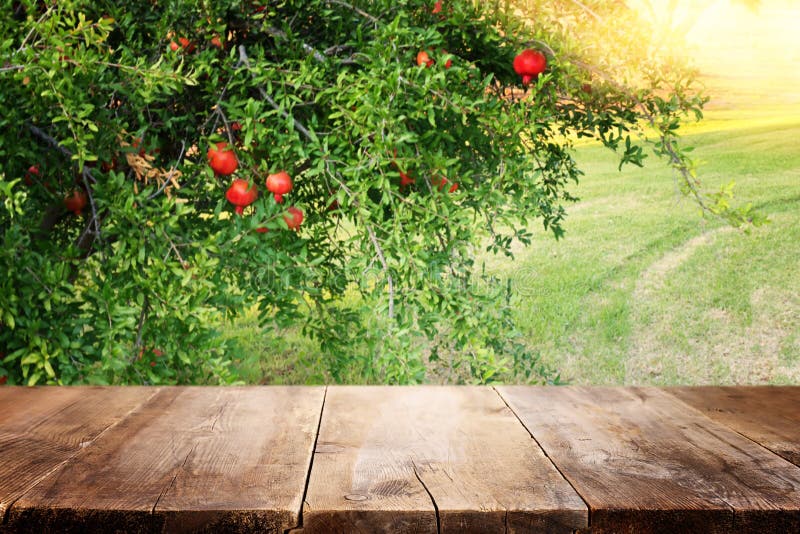 Vintage Wooden Board Table in Front of Pomegranate Tree Landscape ...