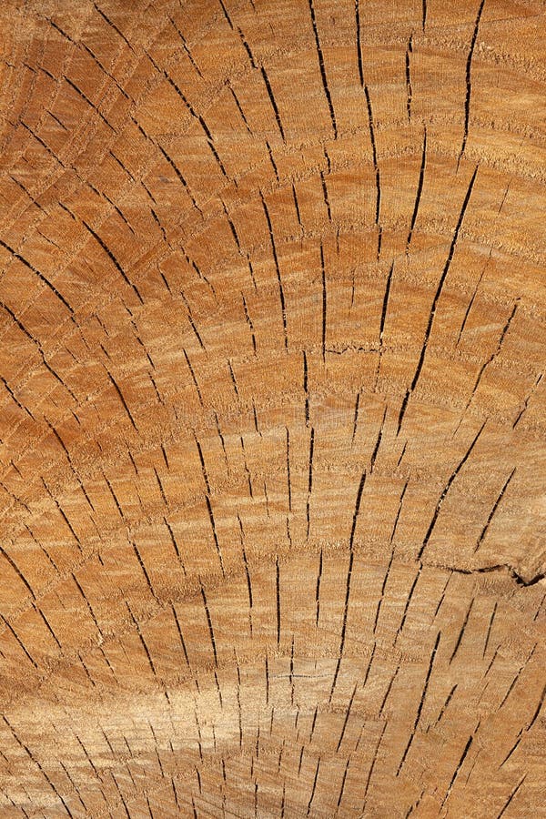 Vintage Wooden Texture with Crinkles and Cuts Stock Photo - Image of ...