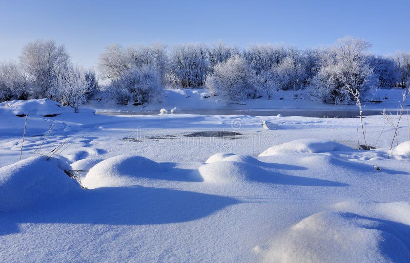 Vinter fotografering för bildbyråer. Bild av glasera - 17962547