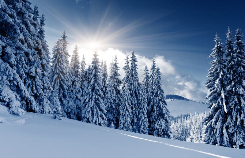 Vinter fotografering för bildbyråer. Bild av snö, klimat - 25151433