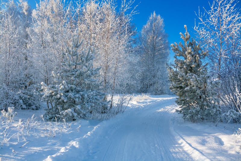 Vinterlandskap fotografering för bildbyråer. Bild av skönhet - 33646039