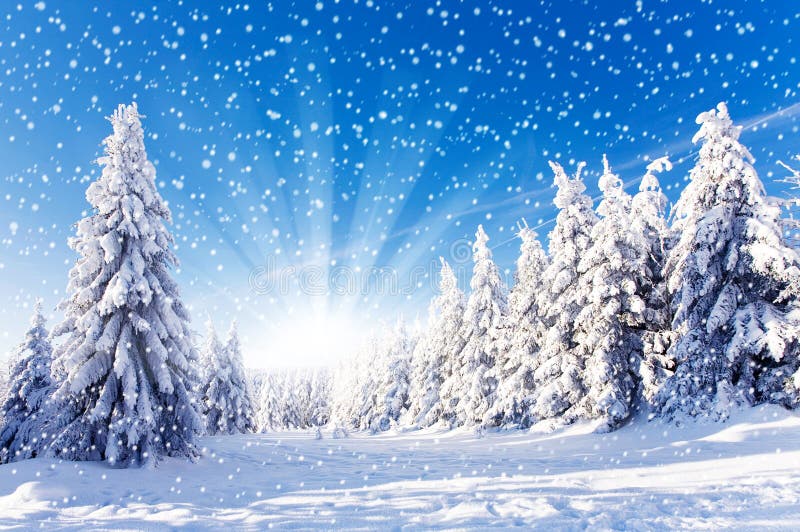 Vinterlandskap - snöfall fotografering för bildbyråer. Bild av ...