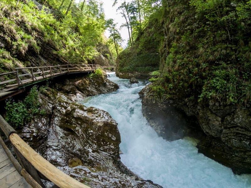 Vintgar Canyon Water Stream between Rocks Stock Image - Image of ...
