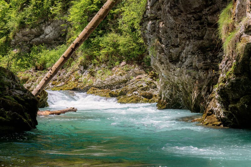 Vintgar Gorges Near Bled in Slovenia Stock Image - Image of attraction ...