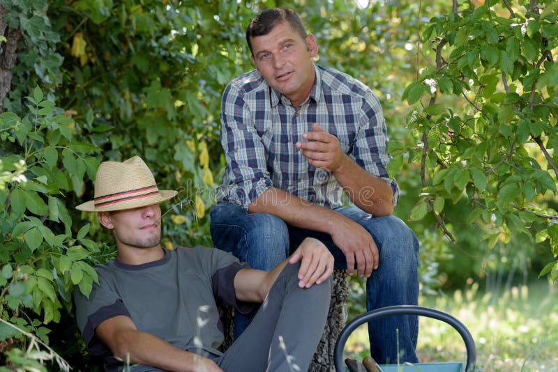 Vintner Resting in Vineyard Stock Image - Image of nature, food: 262295057