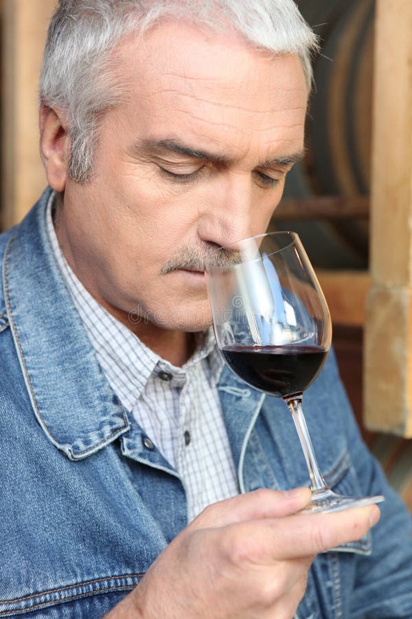 Vintner Smelling Glass of Red Wine Stock Image - Image of cellar ...