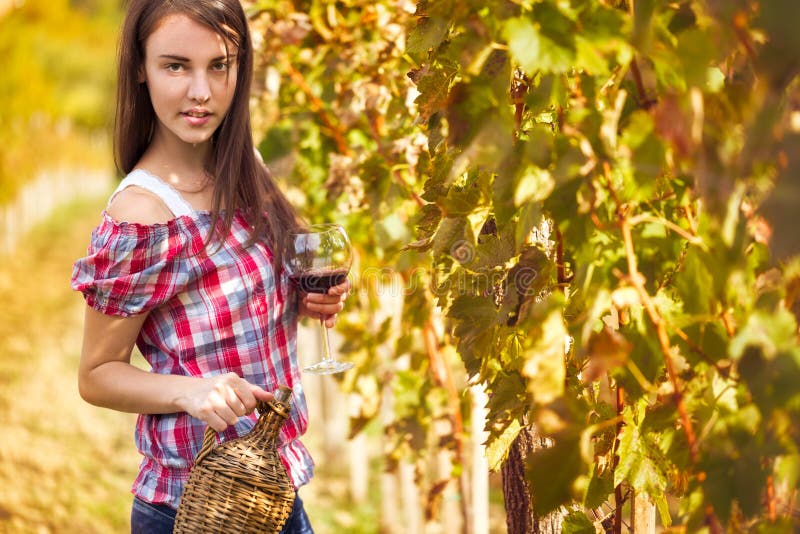 Vintner stock photo. Image of culture, autumn, cultivation - 43637308