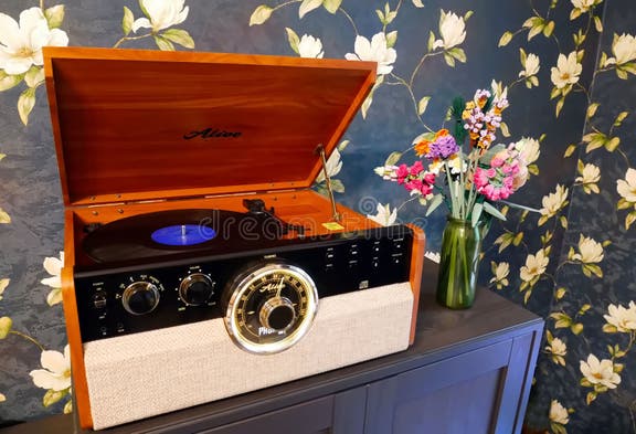 A Vinyl Record Player in a Portable Suitcase. Vinyl Disc Player ...