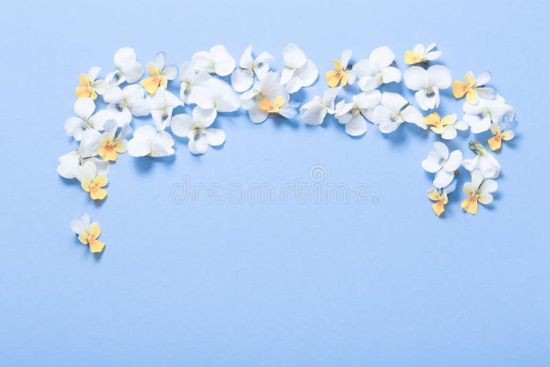 Viola Flowers on Paper Background Stock Photo - Image of frame, bloom ...