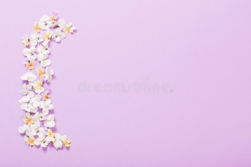Flowers on Color Paper Background Stock Image - Image of background ...