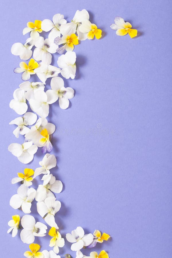 Flowers on Color Paper Background Stock Image - Image of color, garden ...