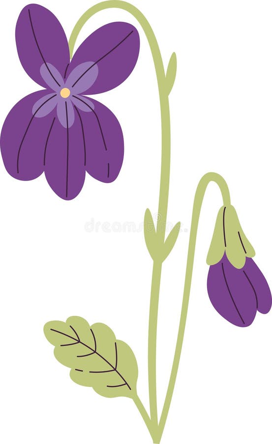 Viola Flowers with Leaves stock vector. Illustration of design - 309662708