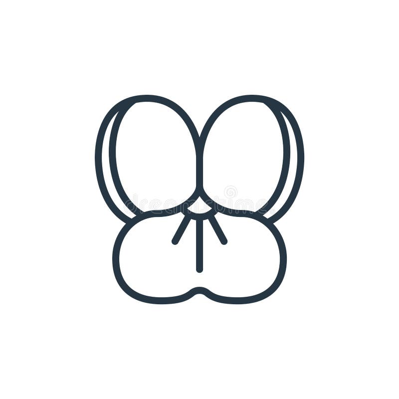 Viola Icon Vector from Plants Concept. Thin Line Illustration of Viola ...