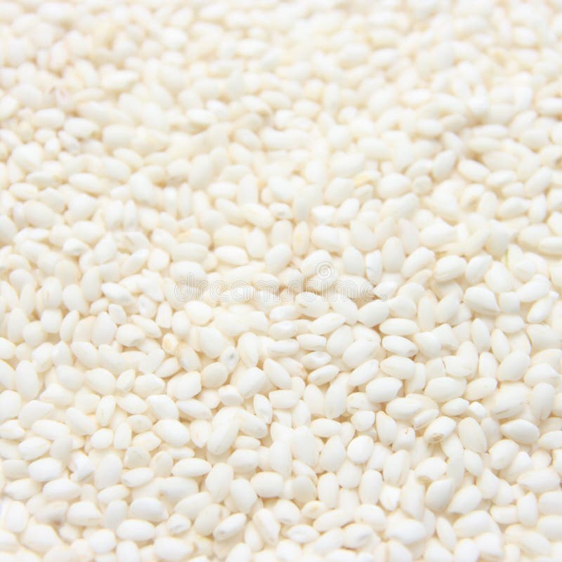 Viola Rice from Italy. Uncooked Raw White Rice Close-up. Stock Photo ...