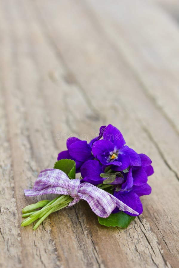 Viole fotografia stock. Immagine di molla, bordo, fiori - 39386088