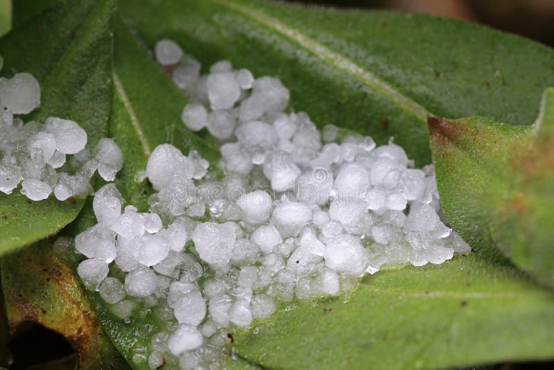 Violent, Dangerous Storm with Hail Stock Photo - Image of spring ...