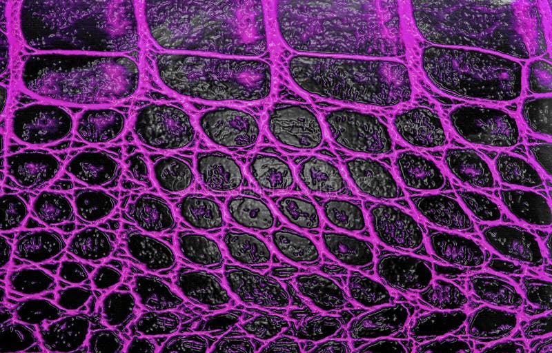 Violet Alligator Patterned Background Stock Photo - Image of crocodile ...