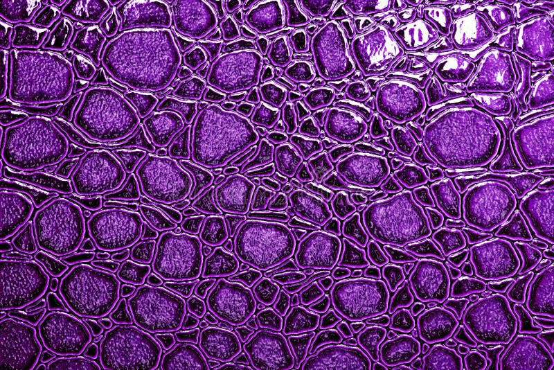 Violet Alligator Patterned Background Stock Image - Image of cloth ...