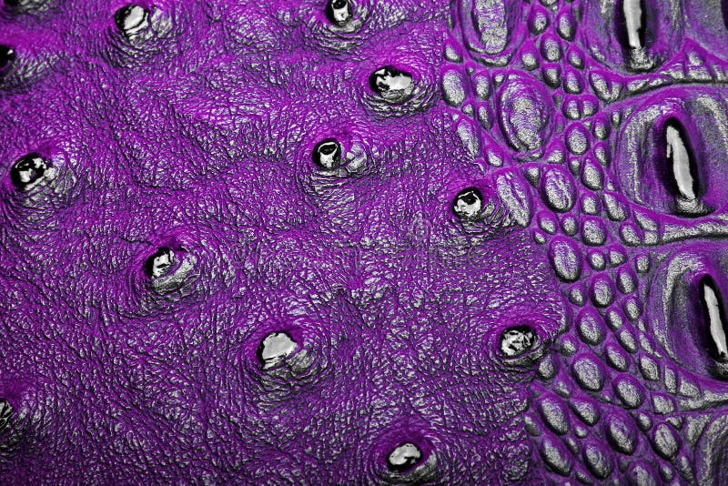 Violet Alligator Patterned Background Stock Image - Image of blank ...