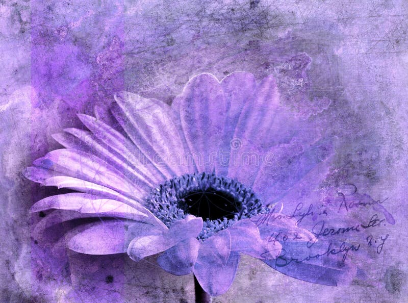 Violet Astra Flower Digital Painting, Abstract Stock Illustration ...