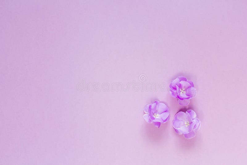 Violet Background with Purple Flowers. Space for Text. Stock Image ...