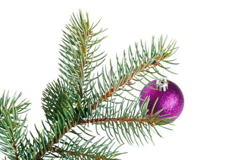Violet Ball on the Christmas Tree Stock Image - Image of element ...