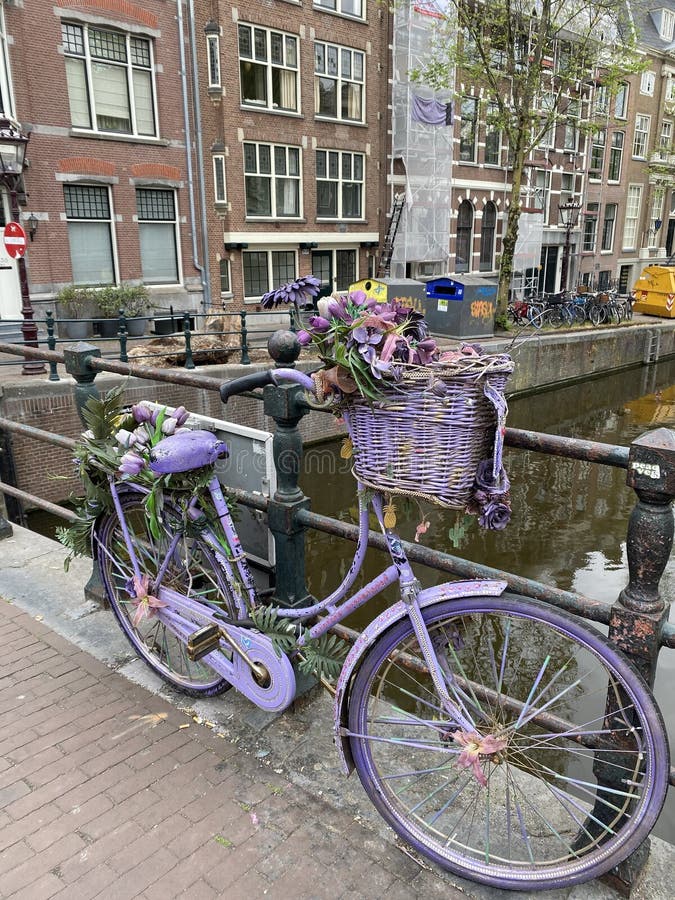 Violet Bicycle with Bunch of Flowers in the City of Amsterdam Stock ...