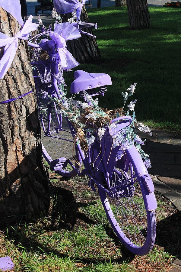 Violet bicycle stock photo. Image of lifestyle, healthy - 59505730