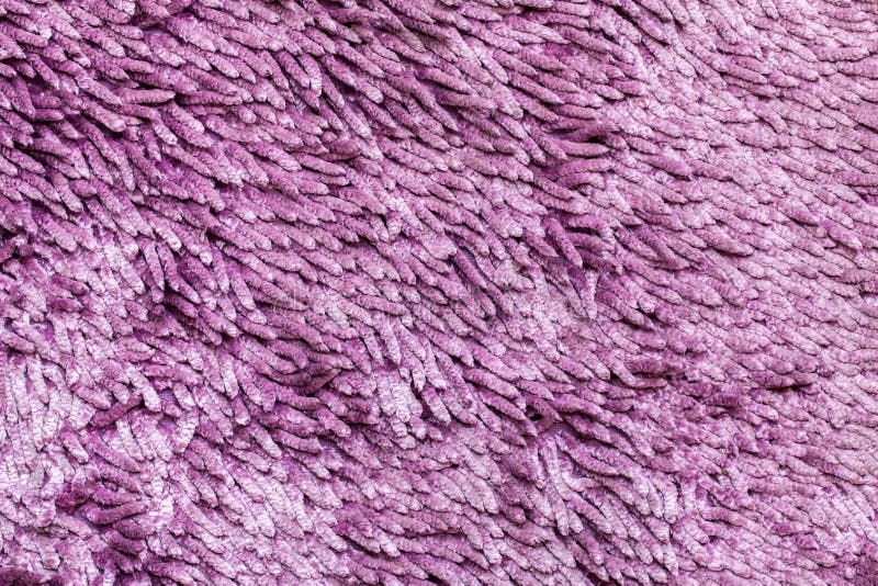 Violet carpet stock photo. Image of space, color, violet - 8928286