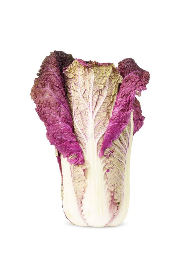 Purple Chinese Cabbage Isolated on White Background. Fresh Cabbage ...