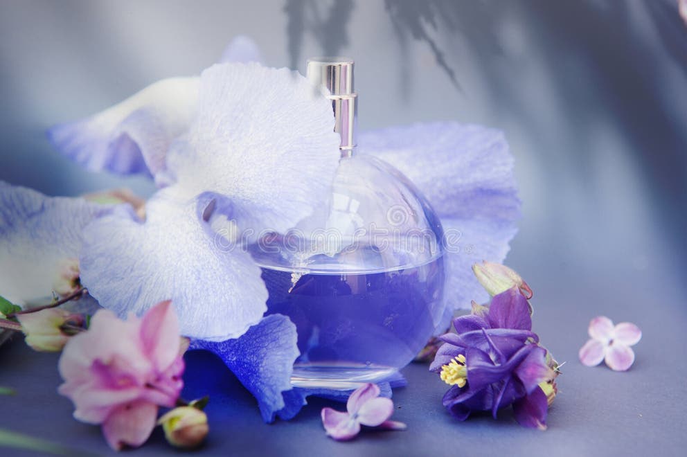 Violet Circle Perfume Bottle on Gray Backdrop Stock Photo - Image of ...