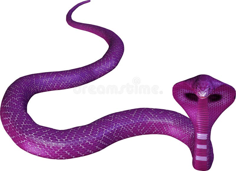 Purple Cobra Snake