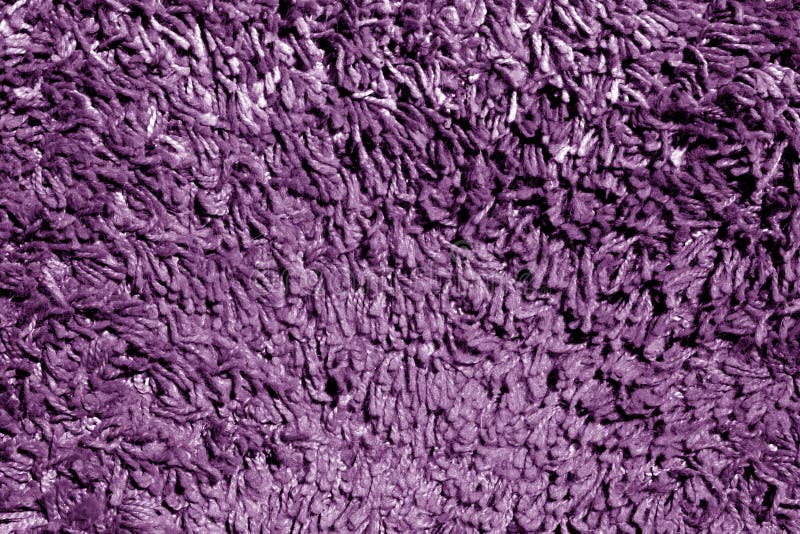 Violet carpet stock photo. Image of violet, space, image - 8928286 Violet carpet stock photo. Image of violet, space, image - 8928286