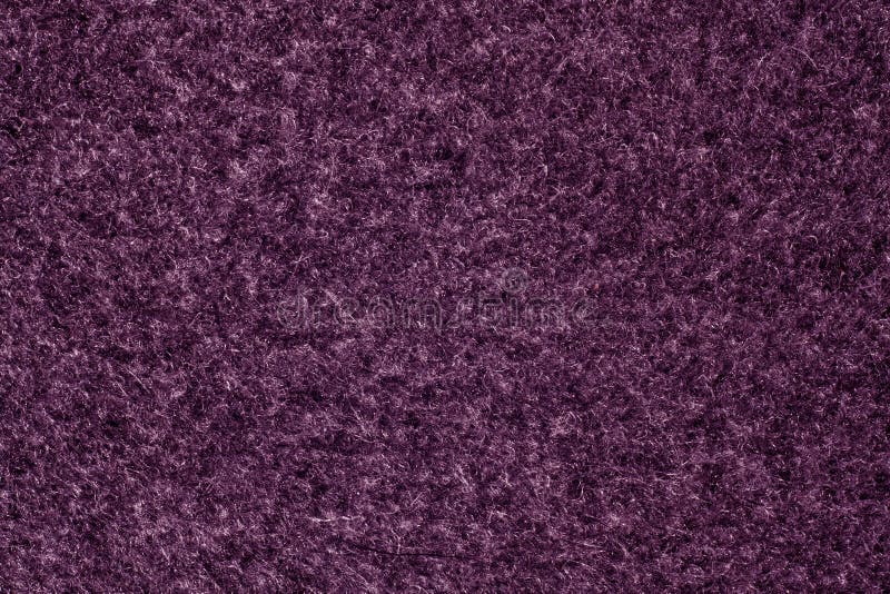 Violet color felt texture. stock photo. Image of felt - 97082630