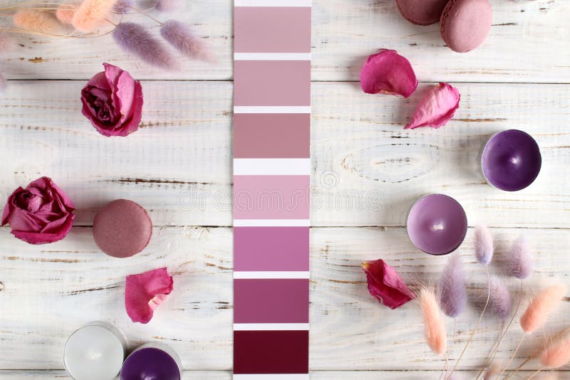 Violet Color Palette. Background for Design. Stock Image - Image of ...
