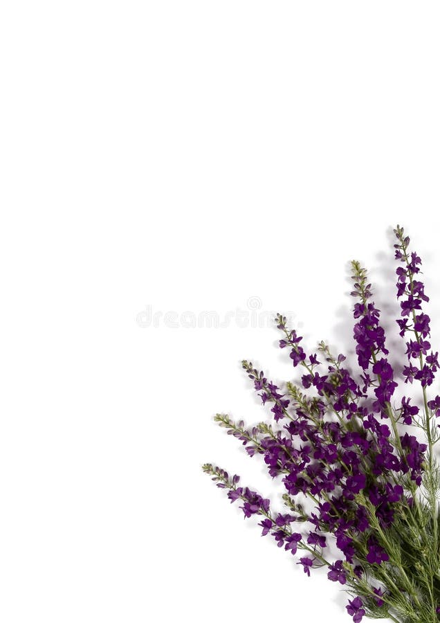 33,944 Corner Pattern Stock Photos - Free & Royalty-Free Stock Photos ...