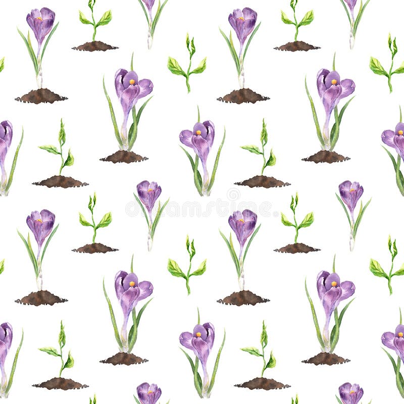 Spring Sprout - Green Growing Plant. Watercolor Stock Illustration ...