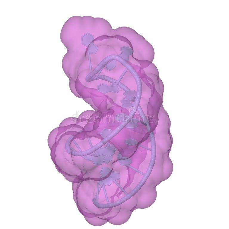 Violet DNA Chains on White Background Stock Illustration - Illustration ...