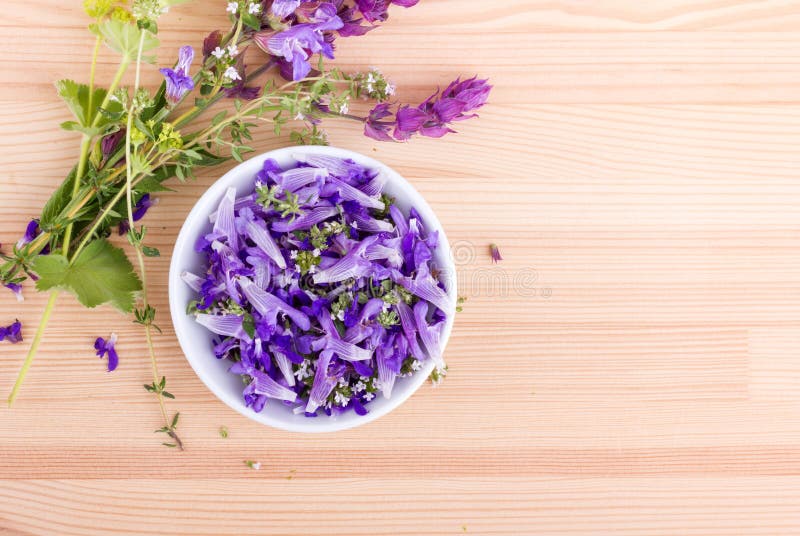 Violet, edible flowers stock photo. Image of purple, view - 94066040