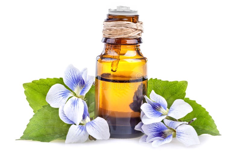 Violet essential oil stock image. Image of remedy, therapy - 69703345